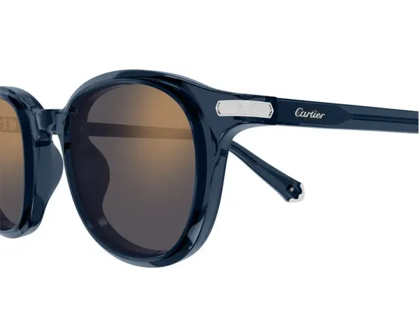 Cartier Ct0584s Sunglasses