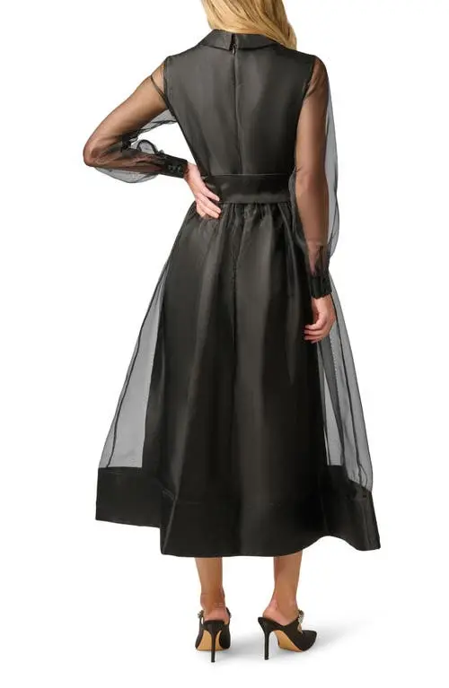 Adrianna Papell Organza Long Sleeve Gown