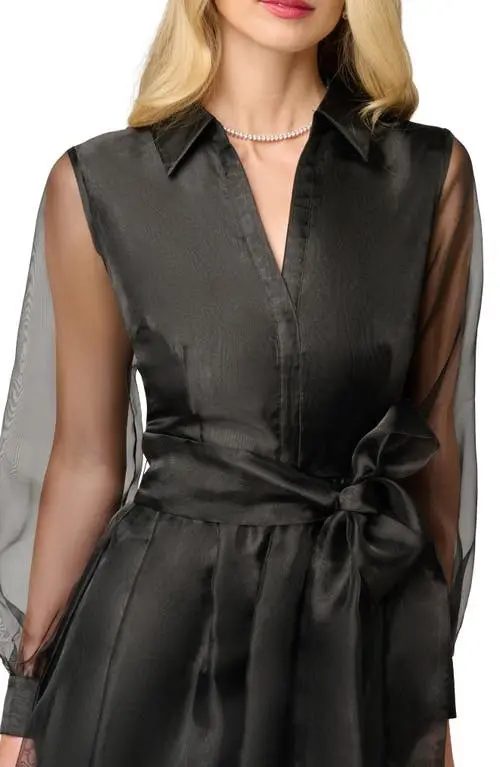 Adrianna Papell Organza Long Sleeve Gown
