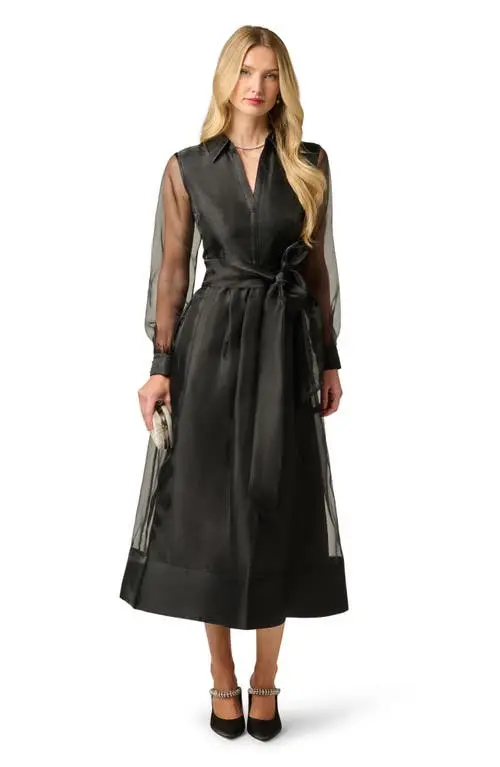 Adrianna Papell Organza Long Sleeve Gown