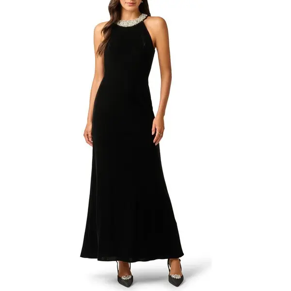 Adrianna Papell Beaded Neck Sleeveless Velvet Gown