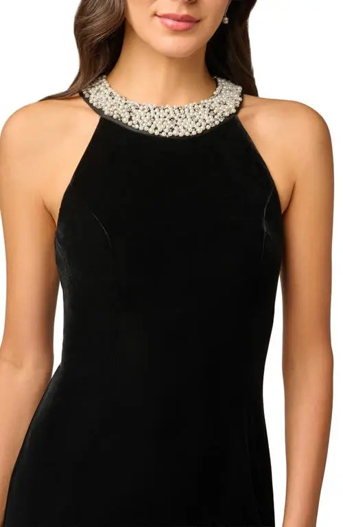 Adrianna Papell Beaded Neck Sleeveless Velvet Gown