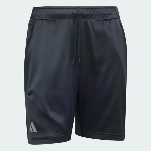 Adidas Climacool Ergo Shorts Pro