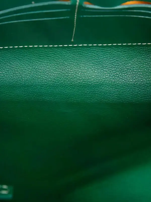 Goyard 2024 Goyardine Chypre Wallet Pouch Crossbody Bag - Green