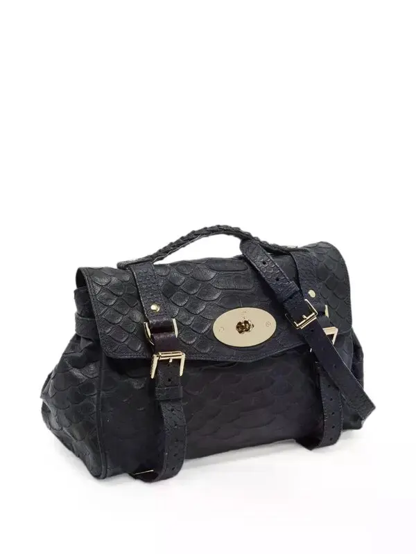 Mulberry Alexa Python-embossed Satchel Bag