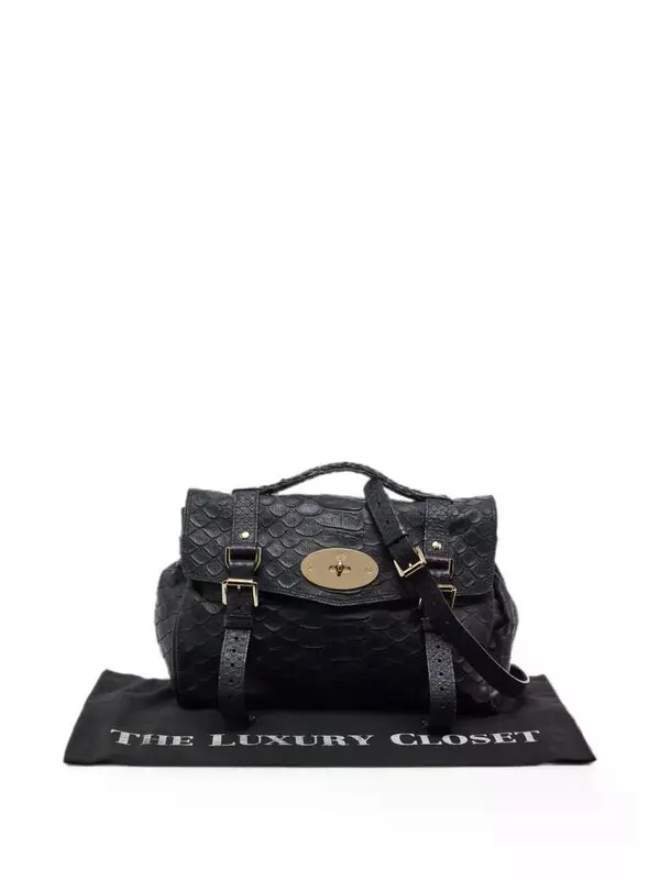 Mulberry Alexa Python-embossed Satchel Bag
