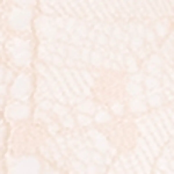 Simone Perele Lace Comète Plunge Bra