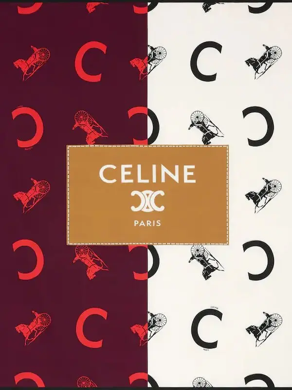Celine Printed Silk Foulard - Multicolor