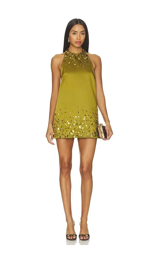 Retrofete Tobonie Embroidered Dress In Green