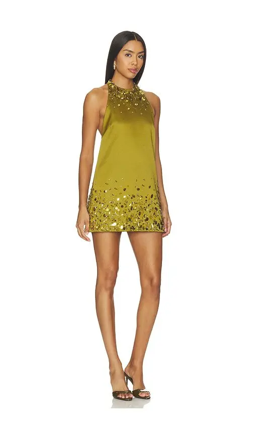 Retrofete Tobonie Embroidered Dress In Green