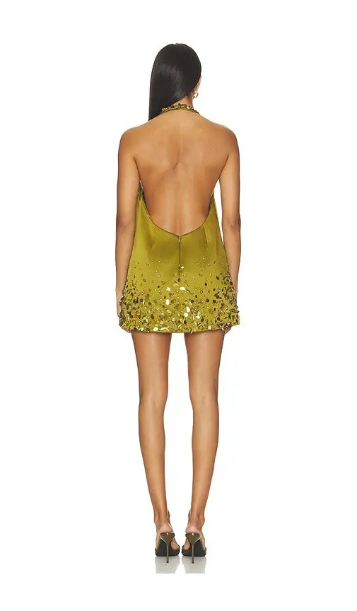 Retrofete Tobonie Embroidered Dress In Green