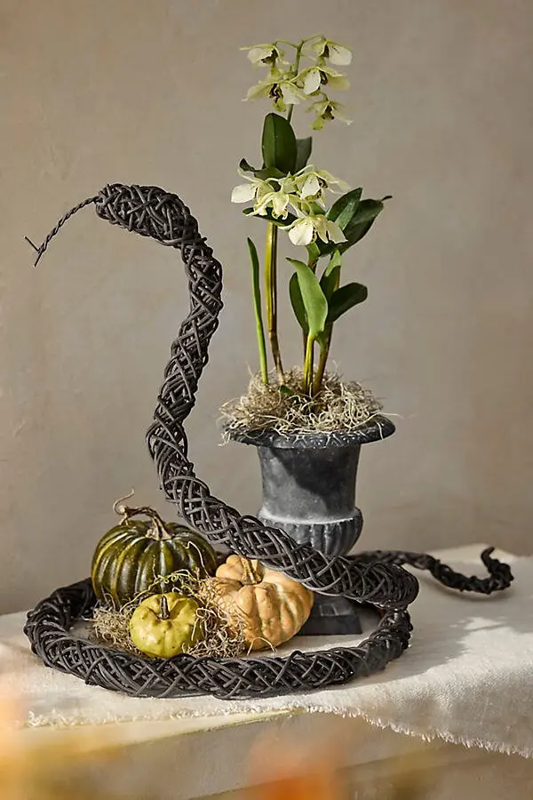 TERRAIN Rattan Ve Coiled Snake