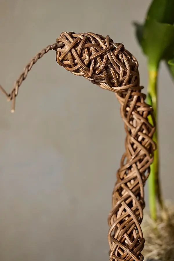 TERRAIN Rattan Ve Coiled Snake