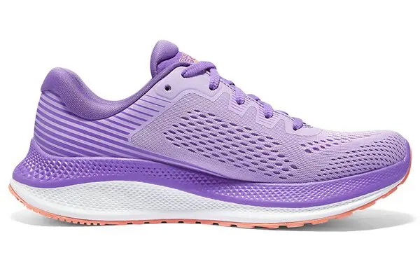 Sketchers Go Run Persistence