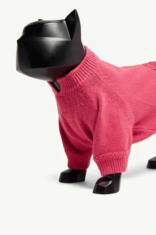 MONCLER POLDO DOG COUTURE Wool Dog Sweater - Pink