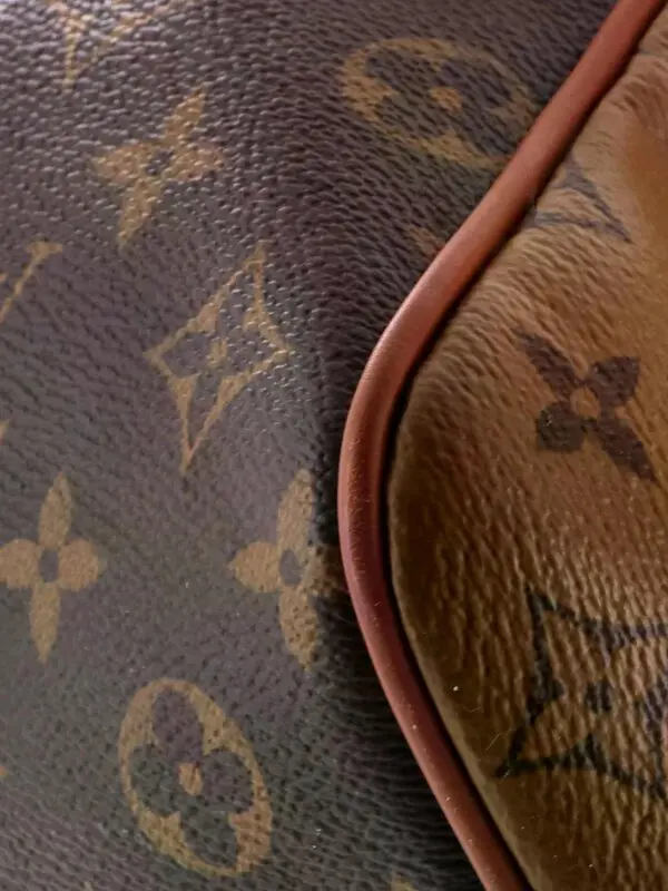 LOUIS VUITTON Dauphine Reverse Monogram Canvas Mm Hobo Bag