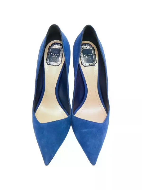 Dior Pointed-toe Gradient-heel Suede Pumps - Blue