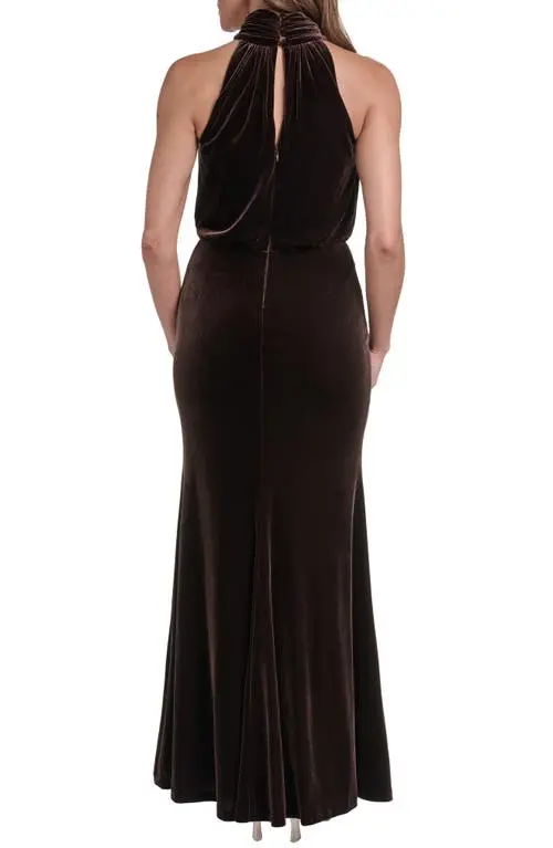 Eliza J Sleeveless Velvet Gown