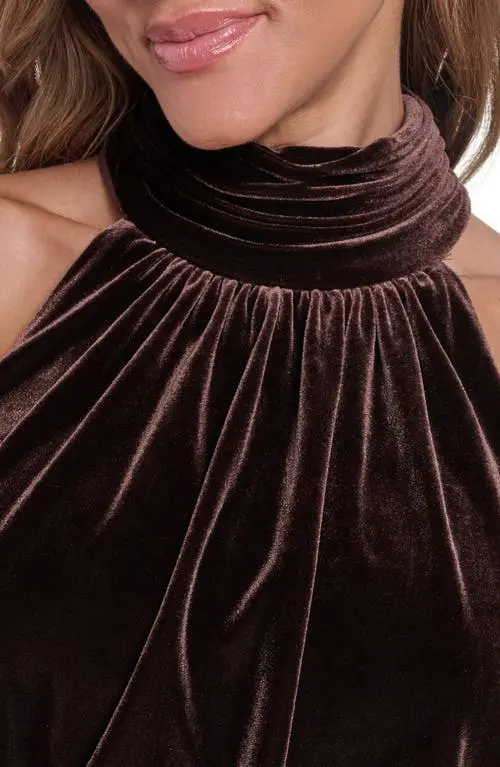 Eliza J Sleeveless Velvet Gown