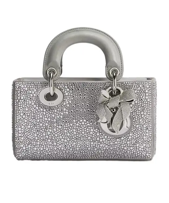 Dior Mini Lady D-joy Bag