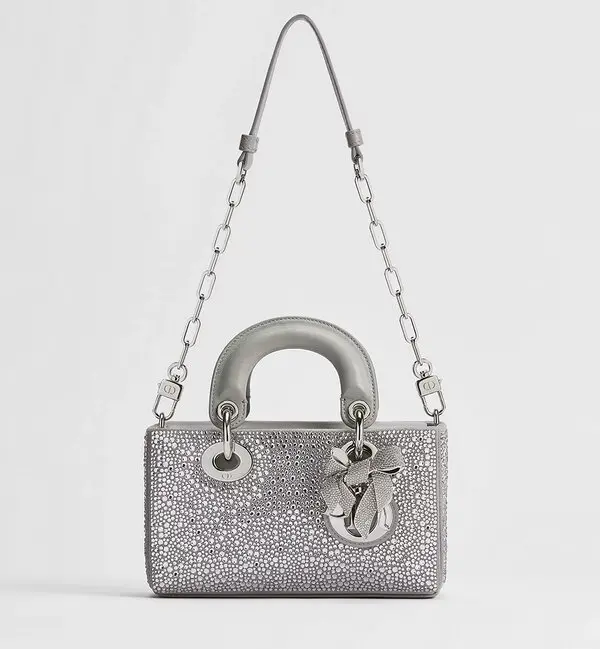 Dior Mini Lady D-joy Bag