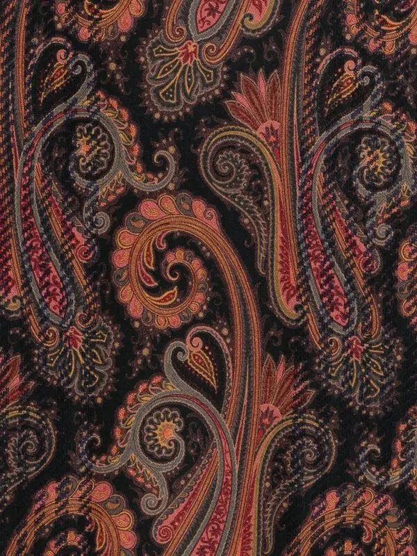 Etro Paisley Print Scarf