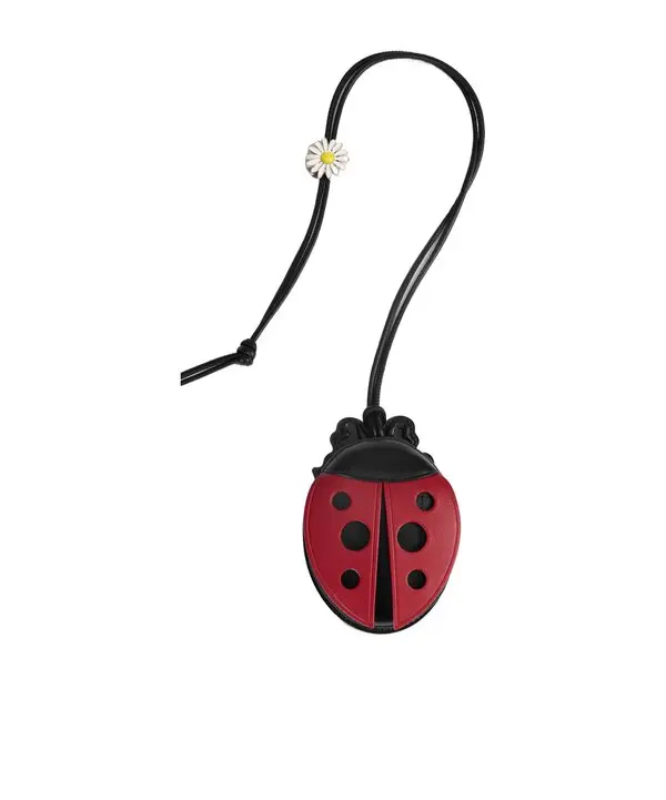 Dior Jardin Ladybug Coin Purse With Cord - Black