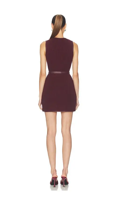 Simkhai Viretta Mini Dress In Burgundy