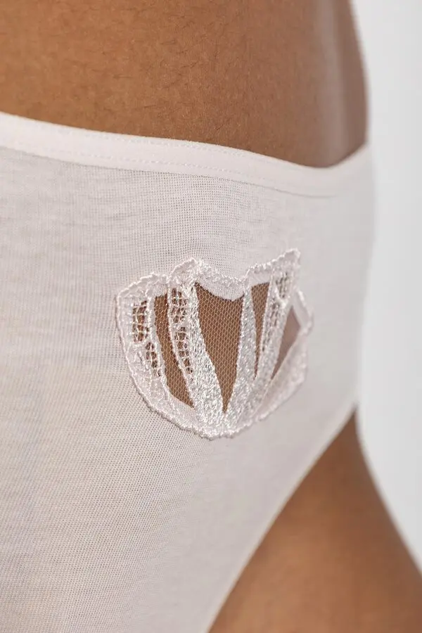 Hanro Cotton Briefs ‘rosaria
