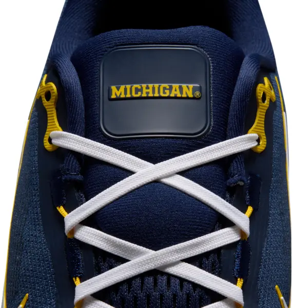 Nike College Vomero 18 Road Running Shoes - Blue