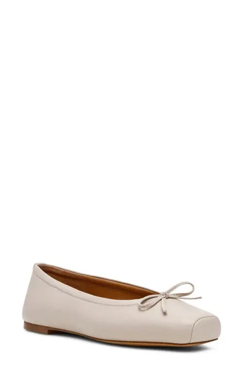 Steve Madden Eleve Square Toe Flat - Bone Leather