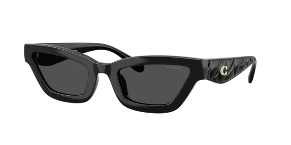 COACH Sunglasses - Grey Solid