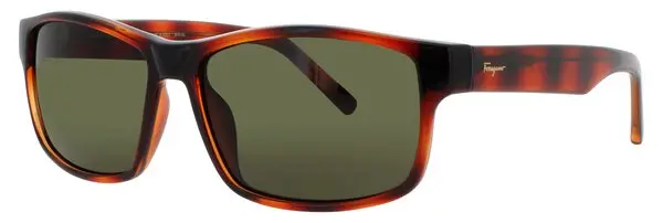 FERRAGAMO Sf960s Sunglasses 58-16