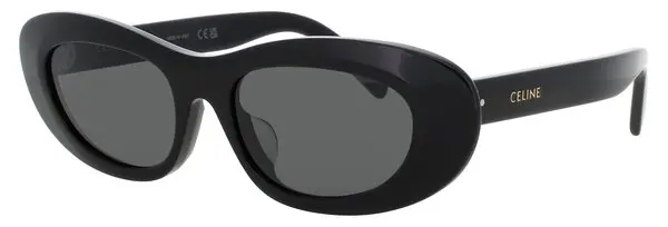 Celine Cl40310u Sunglasses 54-18-145 In Acetate With Case Included