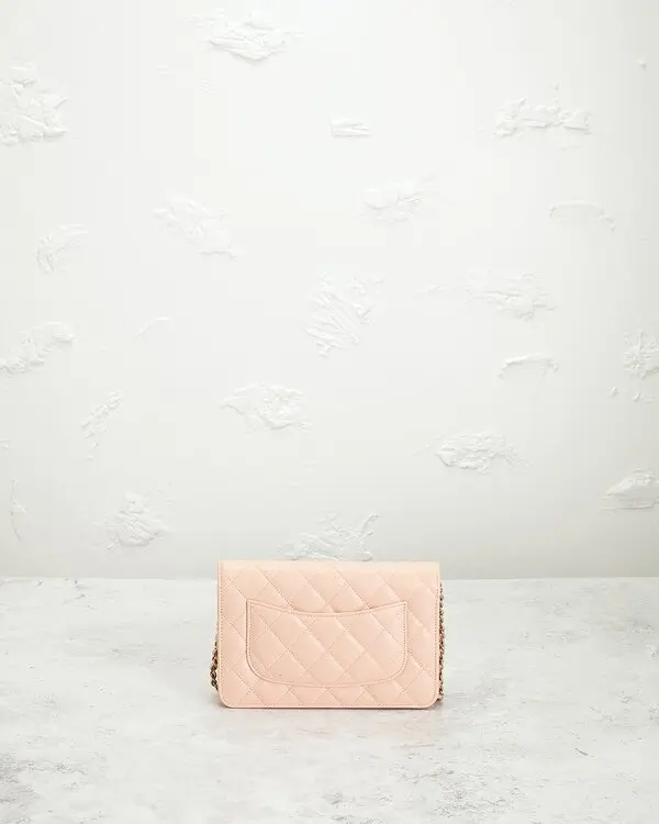 FWRD RENEW Chanel Calfskin Classic Wallet On Chain