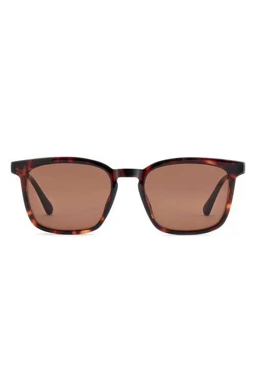 Fossil Panthos Square Sunglasses - Havana/brown