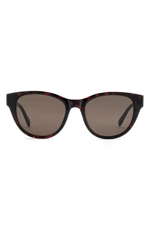 Fossil 53mm Square Sunglasses - Havana/brown