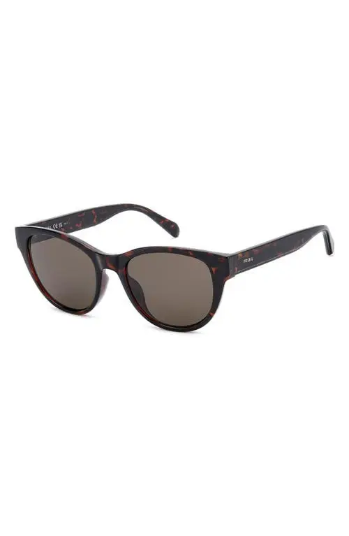 Fossil 53mm Square Sunglasses - Havana/brown