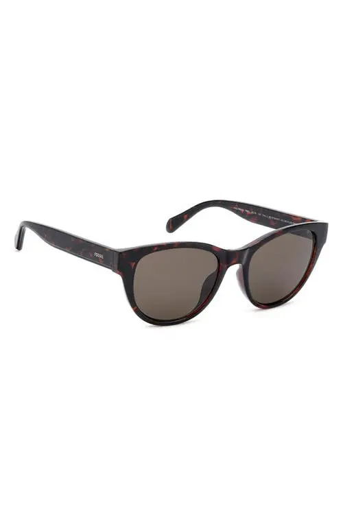 Fossil 53mm Square Sunglasses - Havana/brown