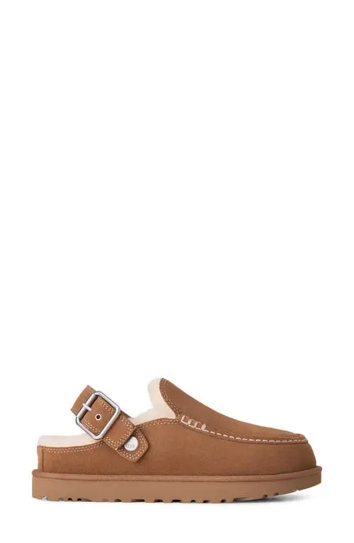 UGG Goldenstar Evelina Clog - Chestnut