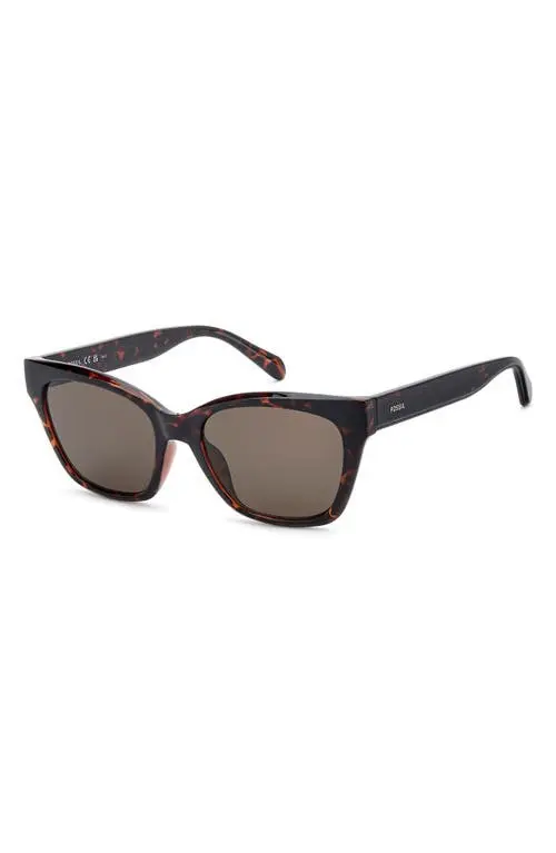 Fossil 53mm Cat Eye Sunglasses - Havana/brown