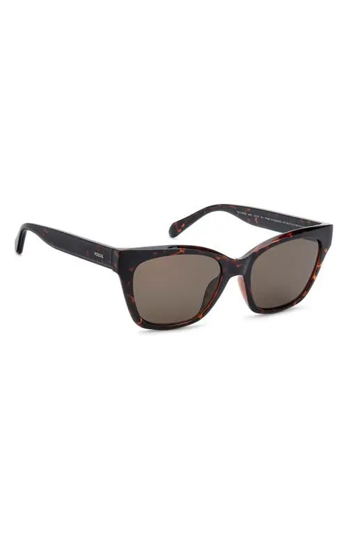 Fossil 53mm Cat Eye Sunglasses - Havana/brown