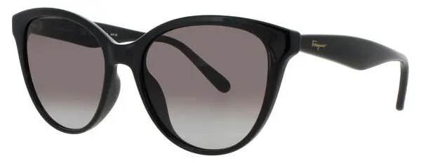 FERRAGAMO Sf1073s Acetate Sunglasses, 54-17-140