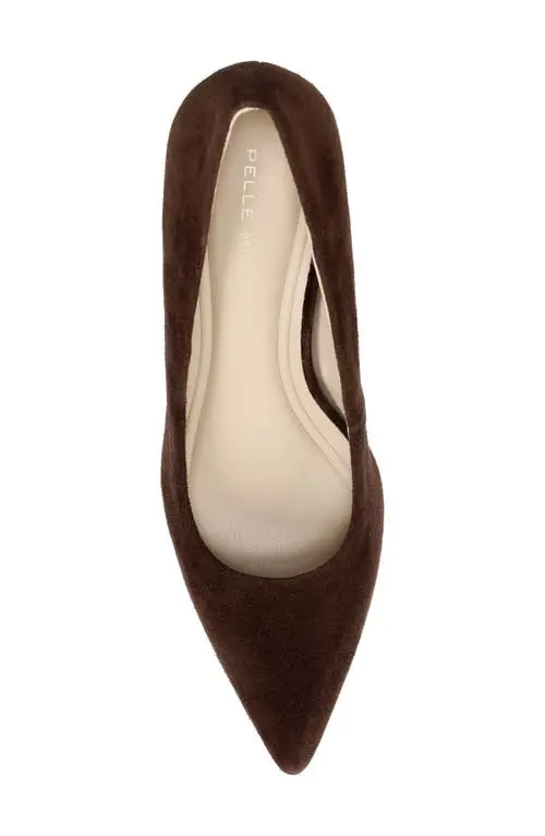 Pelle Moda Inell" Pointed Toe Block Heel Pumps - Chocolate