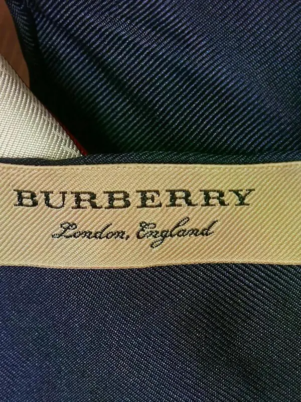 Burberry 1198046 Blue