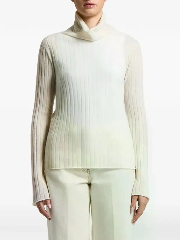 Peserico Ribbed Roll-neck Sweater