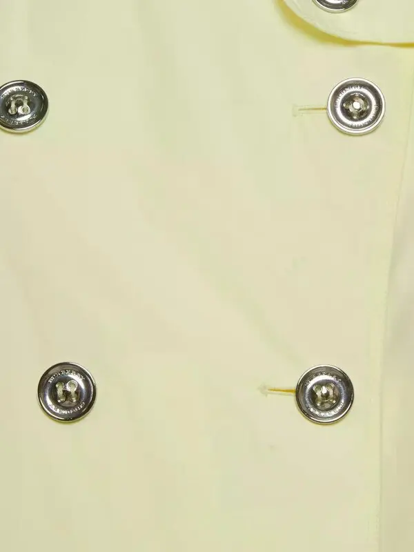 Burberry Double-breasted Trench Coat