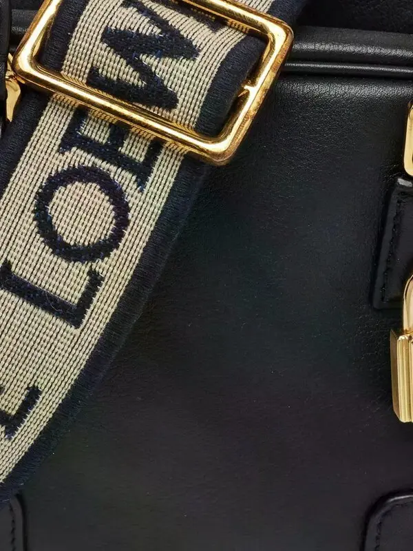 Loewe 2022 16 Amazona Handbag