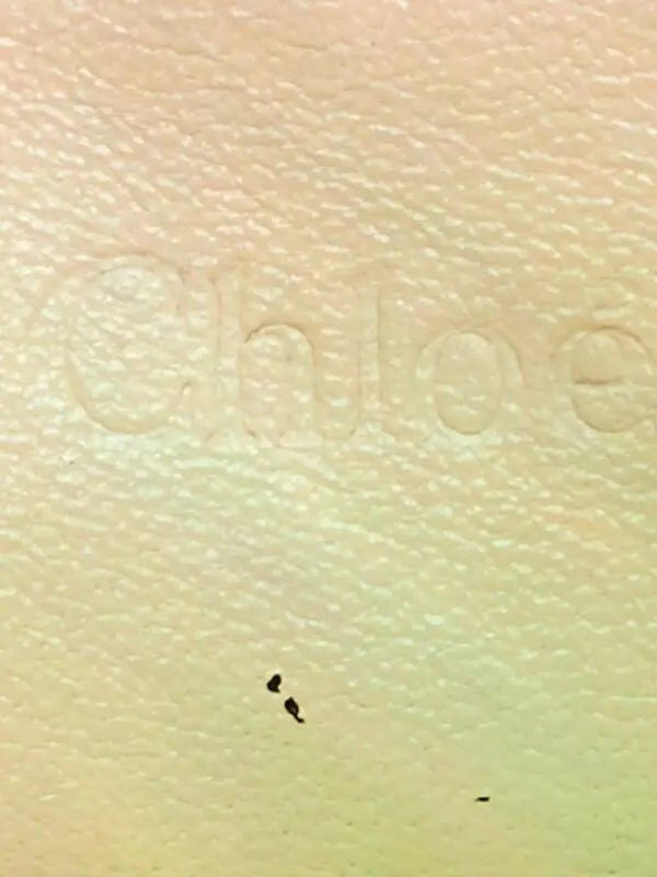 Chloé Elsie Shoulder Bag