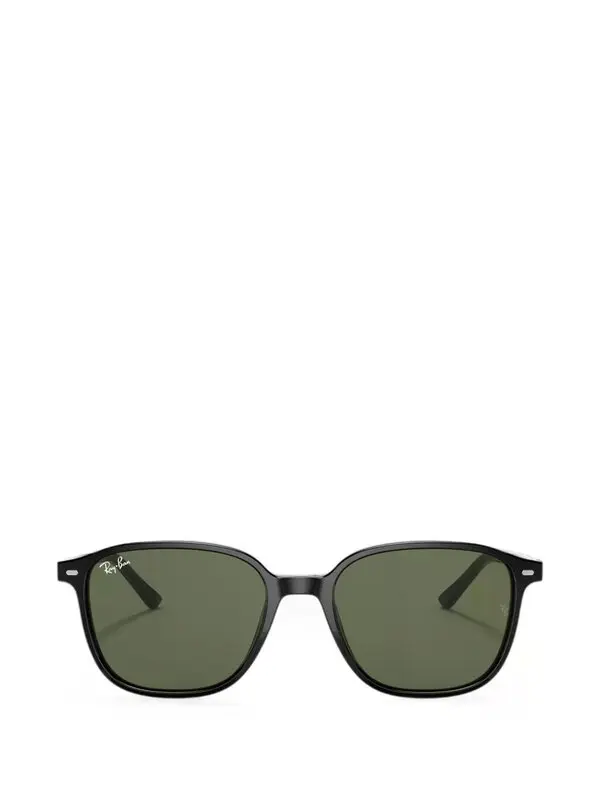 Ray-ban Leonard Sunglasses